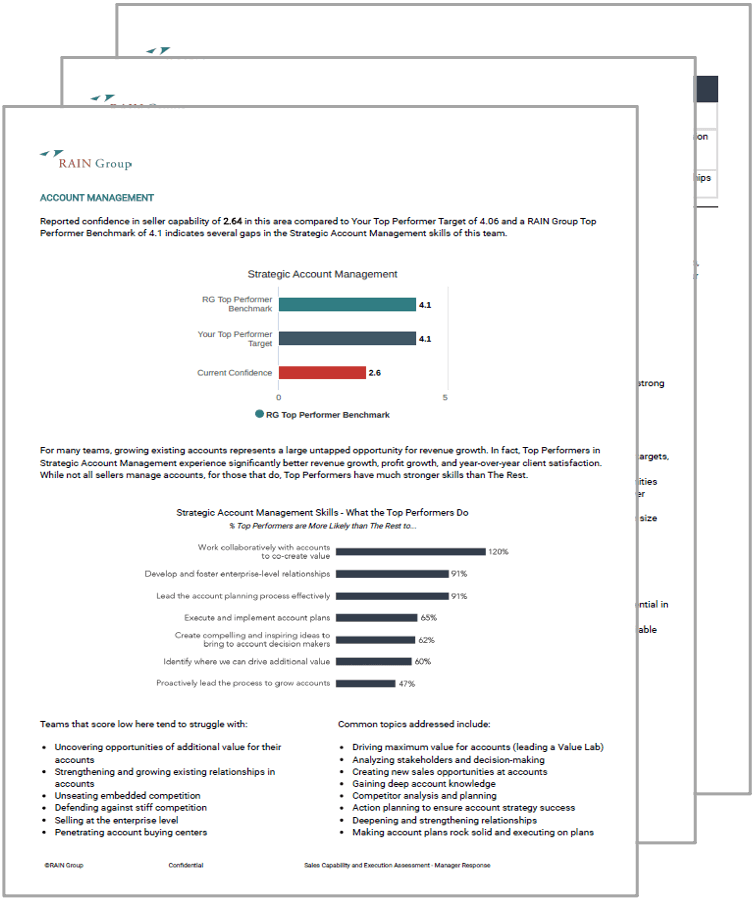 Sales Capability and Execution Assessment | RAIN Group